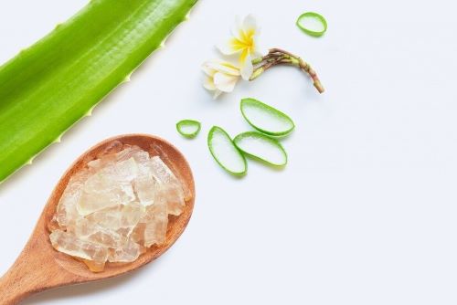 Rahsia Aloe Vera Dan Nata De Coco Sebagai Bahan Bioaktif Perubatan Umpsa News